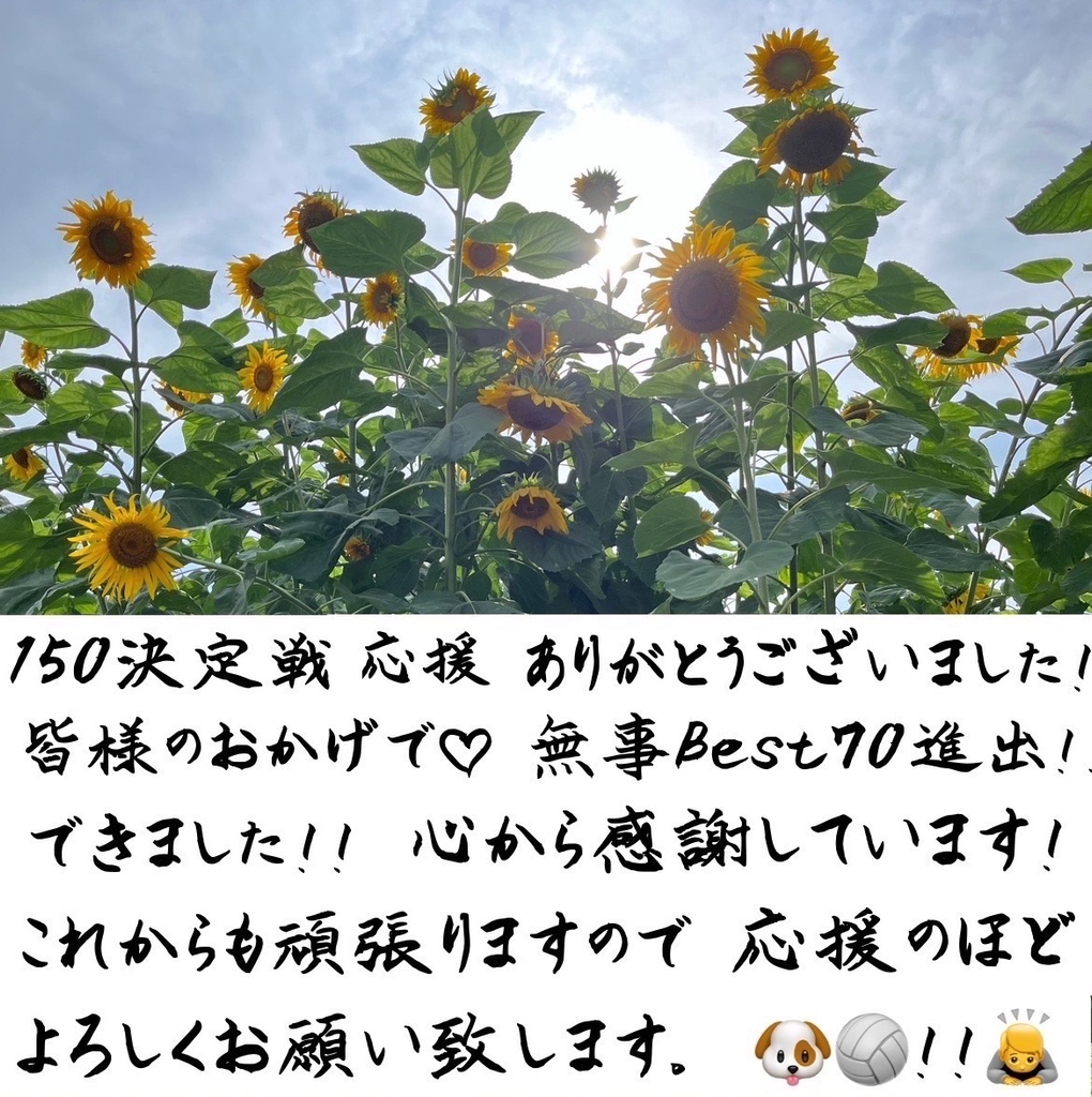 瀬尾駿介 | JUNON TV