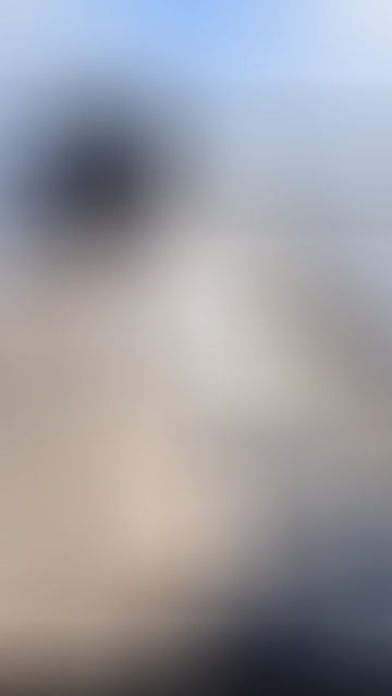 柴山大輝 | JUNON TV