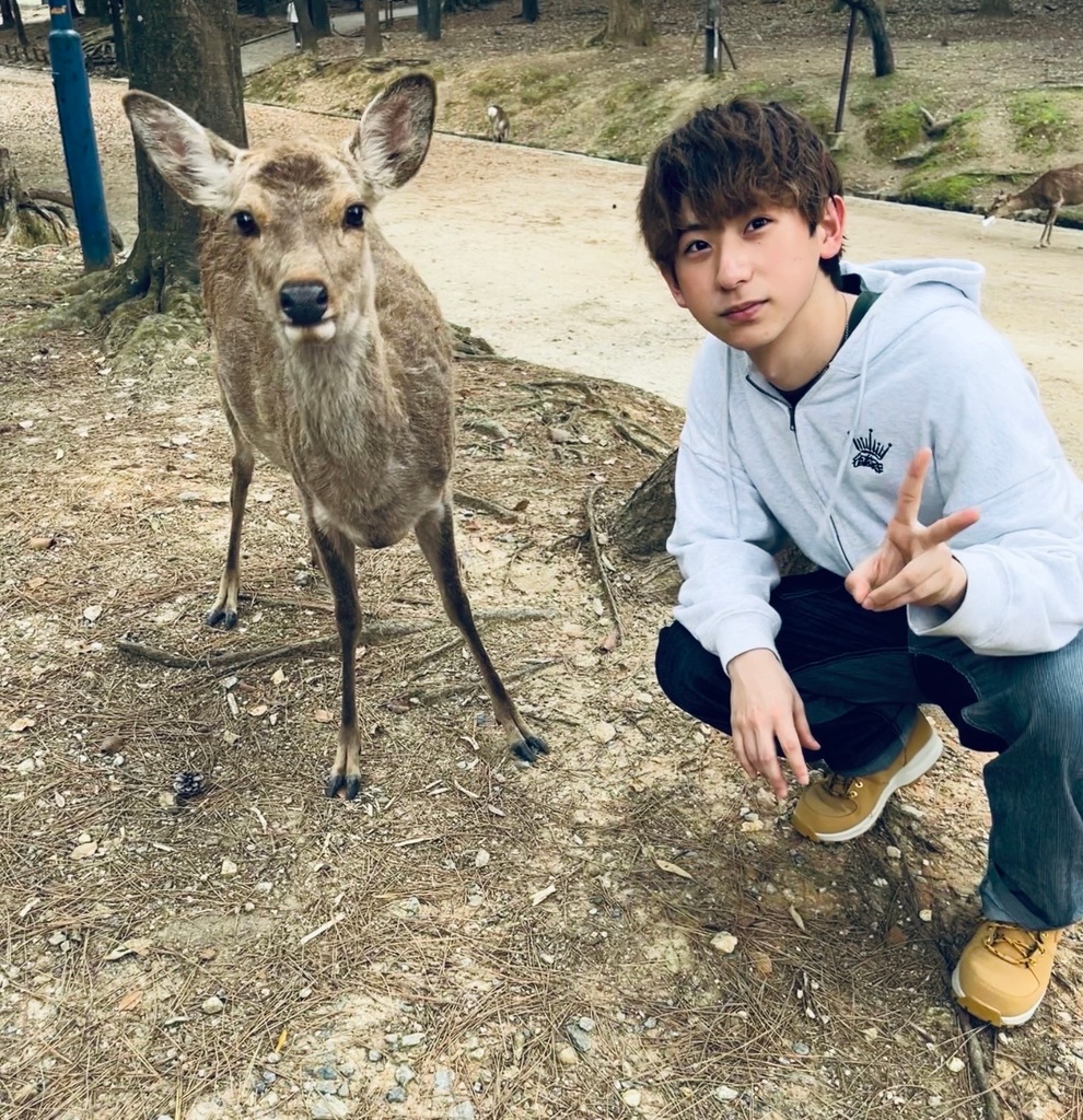 高井健人 | JUNON TV