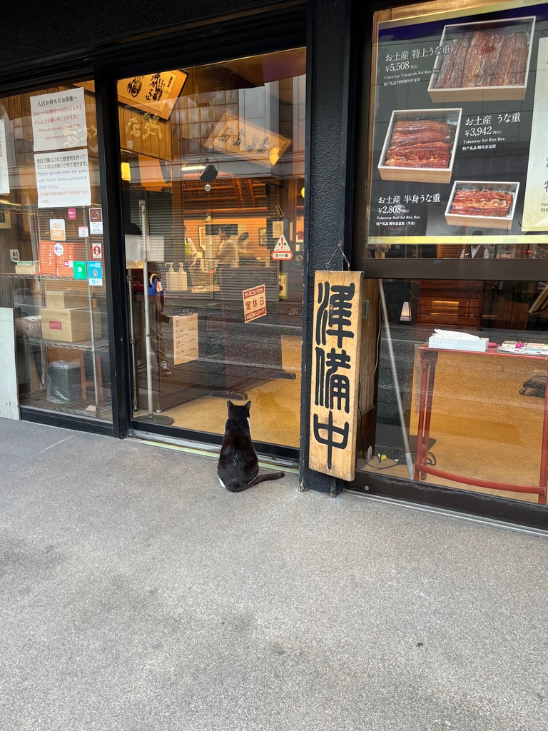 山本一稀 | JUNON TV