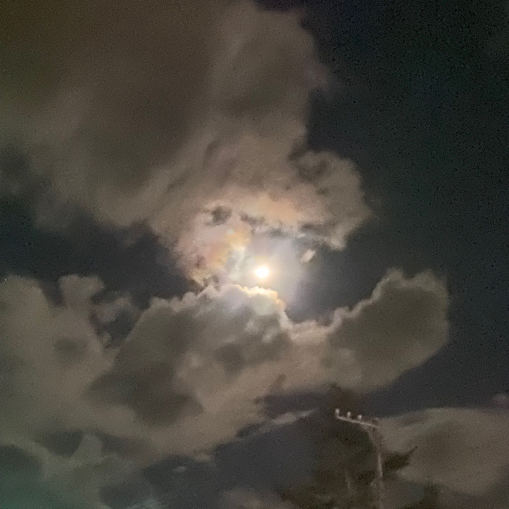 [Dブロック②]第37回ジュノンボーイコンテスト 第2次審査BEST150確約イベント | JUNON TV